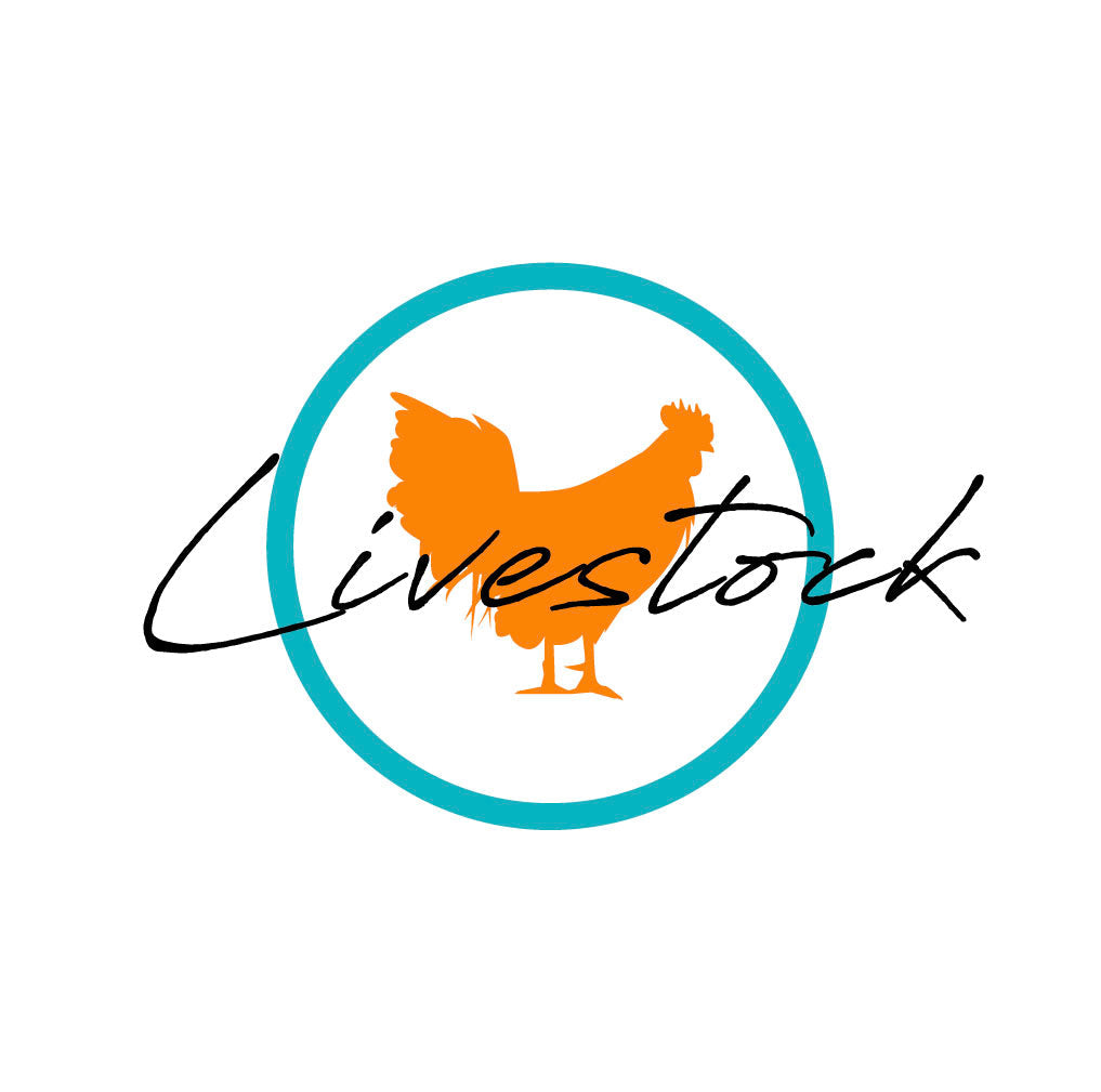 Pet Products | Online Pet Store | PetX - Online