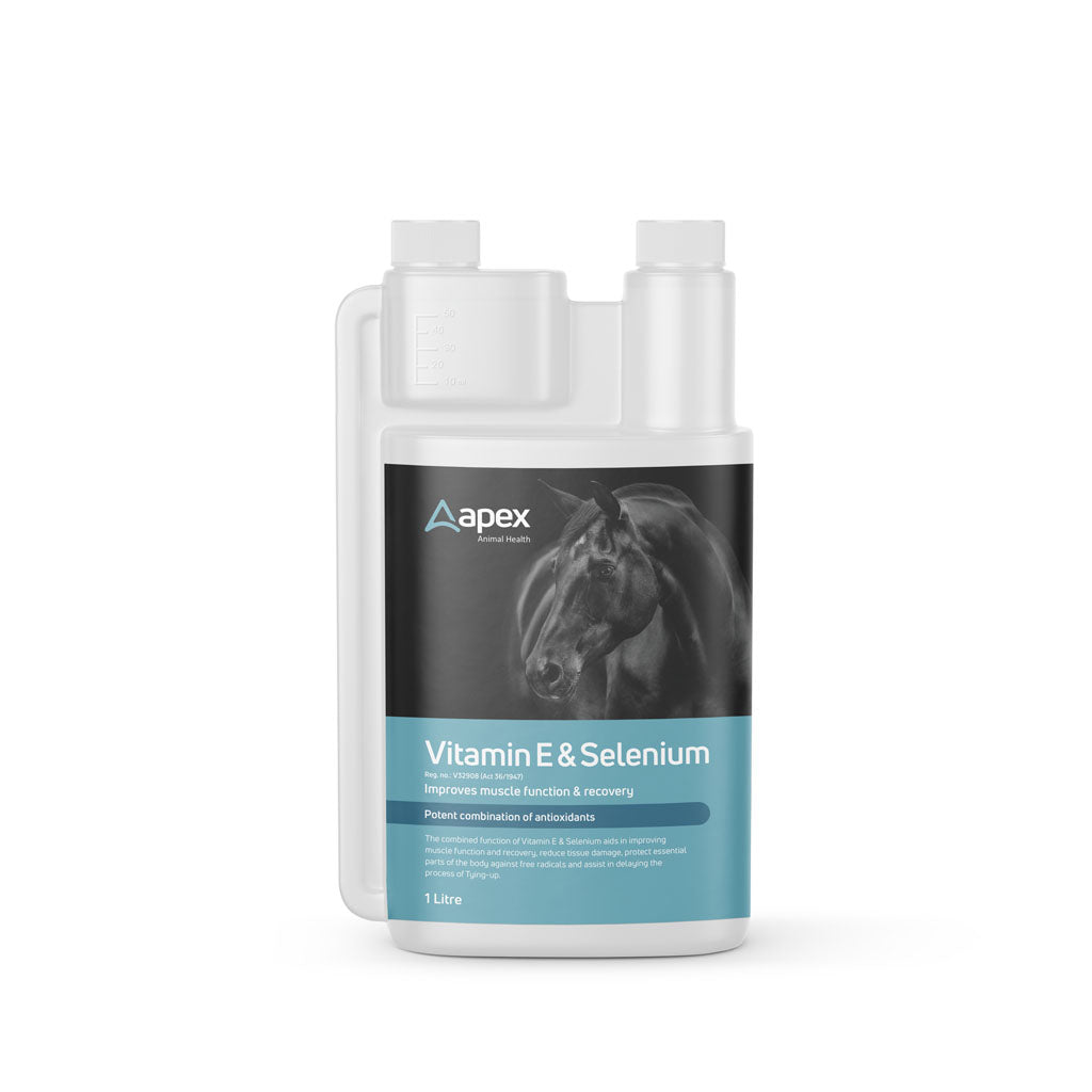 Apex Vitamin E & Selenium 1L Muscle Support | PetX – PetX - Online