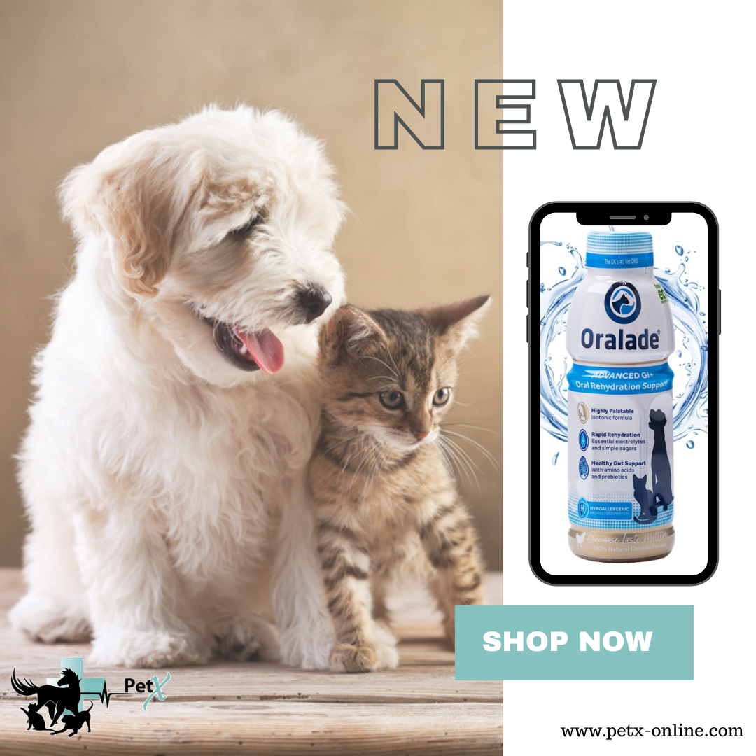 Pet Products | Online Pet Store | PetX - Online