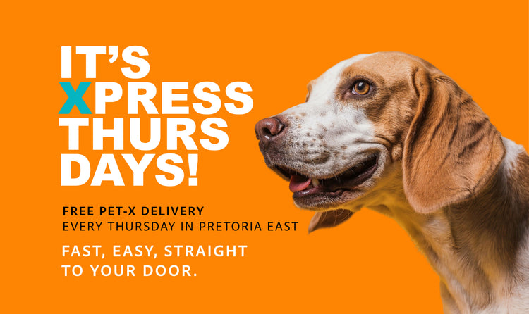 Pet Products | Online Pet Store | PetX - Online
