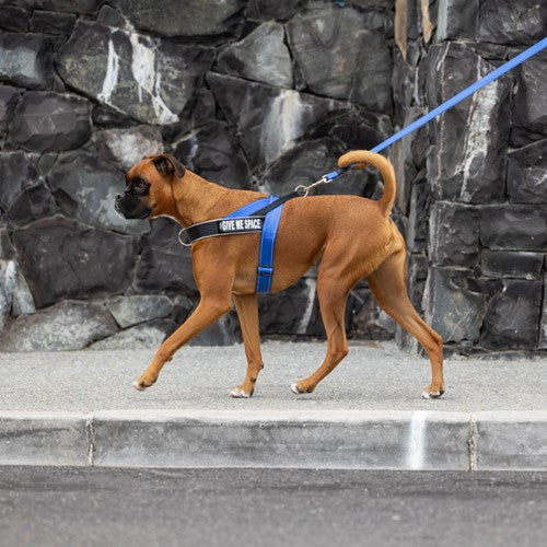 Rogz Utility Letzgo Personalized Harness Dog Harness Badge | PetX ...