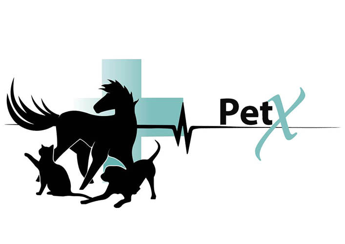 Pet Products | Online Pet Store | PetX - Online